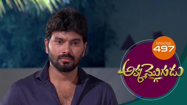 Watch Akka Mogudu (Episode ) Telugu serial online | Sun NXT