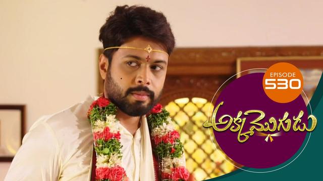 Watch Akka Mogudu (Episode ) Telugu serial online | Sun NXT