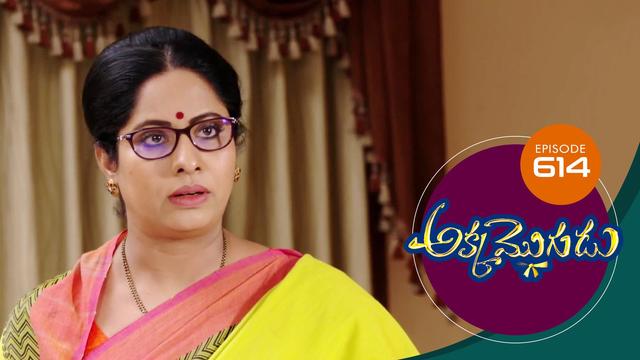 Watch Akka Mogudu (Episode ) Telugu serial online | Sun NXT