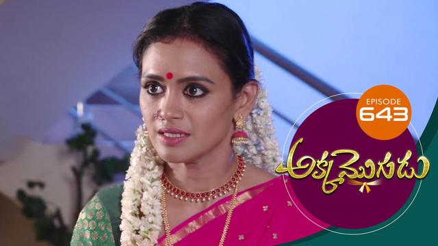 Watch Akka Mogudu (Episode ) Telugu serial online | Sun NXT