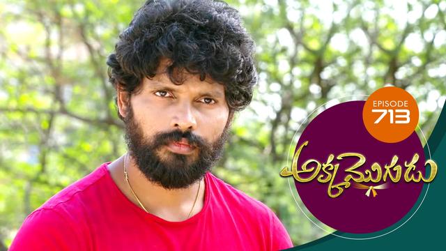 Watch Akka Mogudu (Episode ) Telugu serial online | Sun NXT