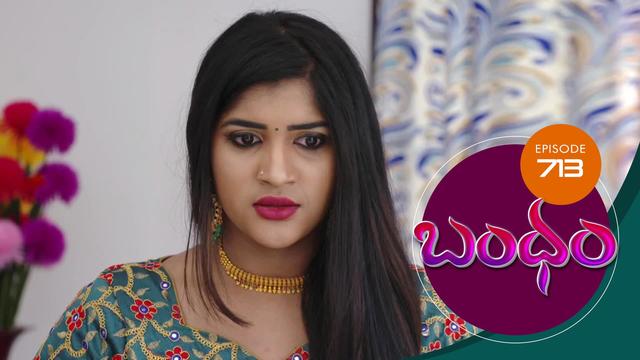 Watch Bandham (Episode ) Telugu serial online | Sun NXT
