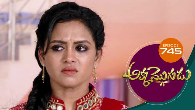 Watch Akka Mogudu (Episode ) Telugu serial online | Sun NXT