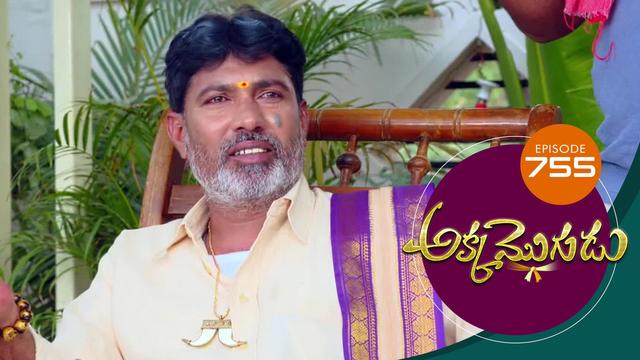 Watch Akka Mogudu (Episode ) Telugu serial online | Sun NXT