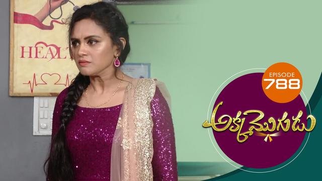 Watch Akka Mogudu (Episode ) Telugu serial online | Sun NXT
