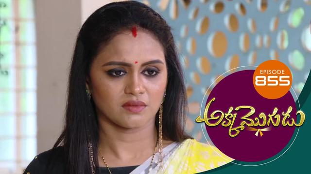 Watch Akka Mogudu (Episode ) Telugu serial online | Sun NXT