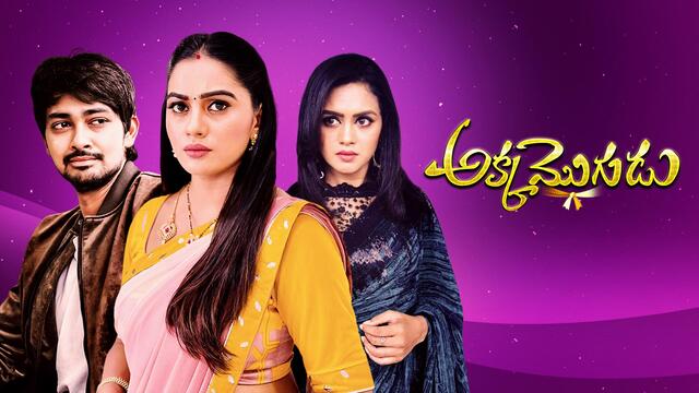 Watch Akka Mogudu (Episode ) Telugu serial online | Sun NXT