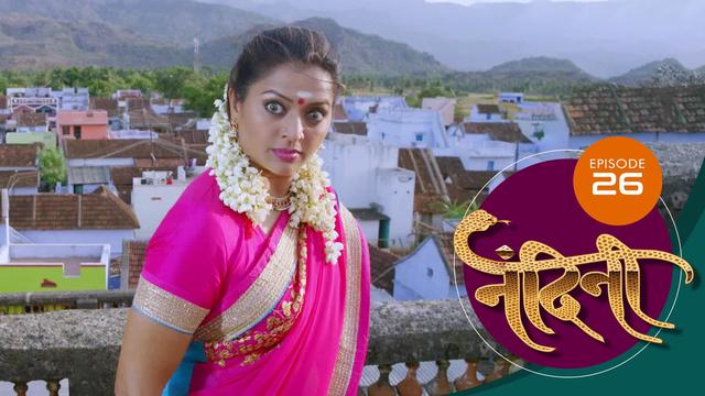 Watch Nandini (Episode ) Marathi serial online | Sun NXT