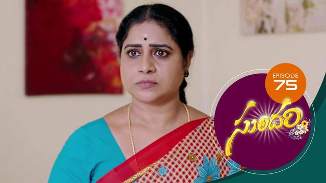 Watch Sundari (Episode ) Telugu serial online | Sun NXT
