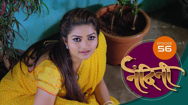 Watch Nandini (Episode ) Marathi serial online | Sun NXT