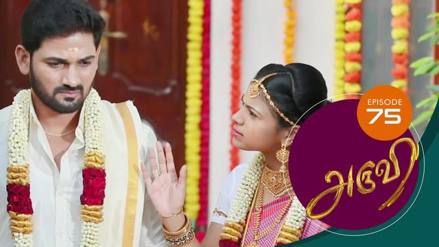 Watch Aruvi (Episode ) Tamil serial online | Sun NXT