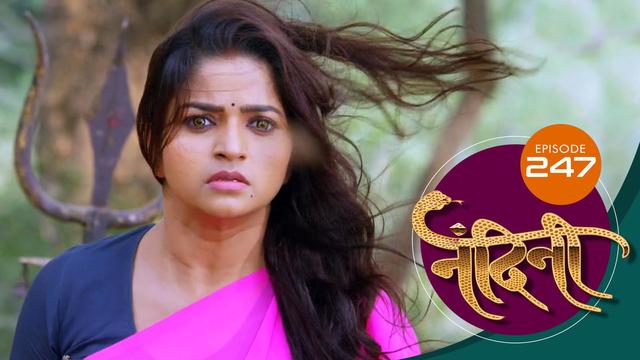 Watch Nandini (Episode ) Marathi serial online | Sun NXT