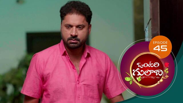 Watch Vontari Gulabi (Episode ) Telugu serial online | Sun NXT
