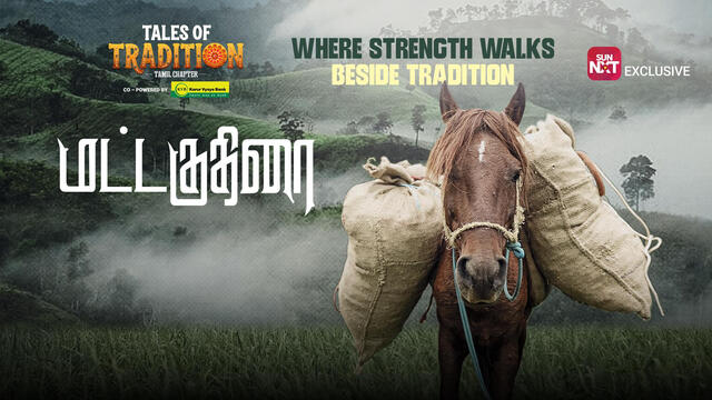 Watch Matta Kuthirai Documentary Show Online | Sun NXT