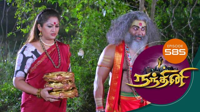 Watch Nandini (Tamil) (Episode ) Tamil serial online | Sun NXT