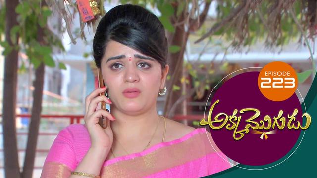 Watch Akka Mogudu (Episode ) Telugu serial online | Sun NXT