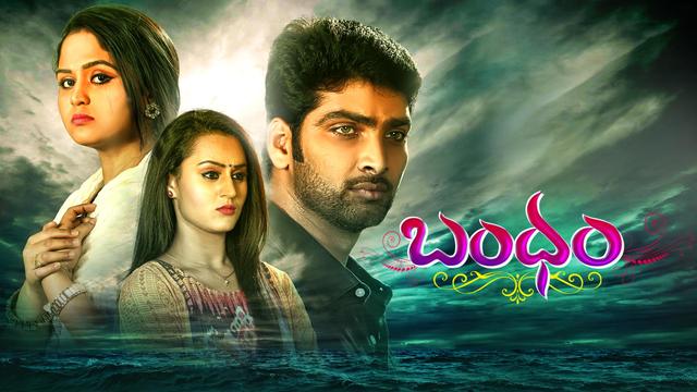 Watch Bandham (Episode ) Telugu serial online | Sun NXT
