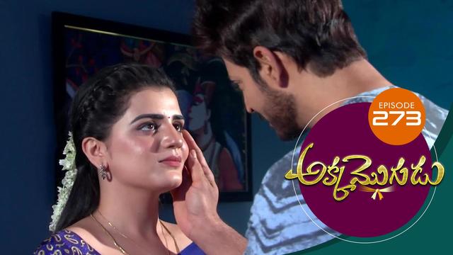 Watch Akka Mogudu (Episode ) Telugu serial online | Sun NXT