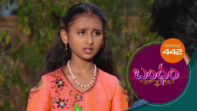 Watch Bandham (Episode ) Telugu serial online | Sun NXT